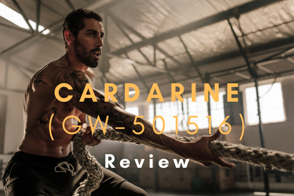 Cardarine (GW-501516) Review {Updated March 2024}